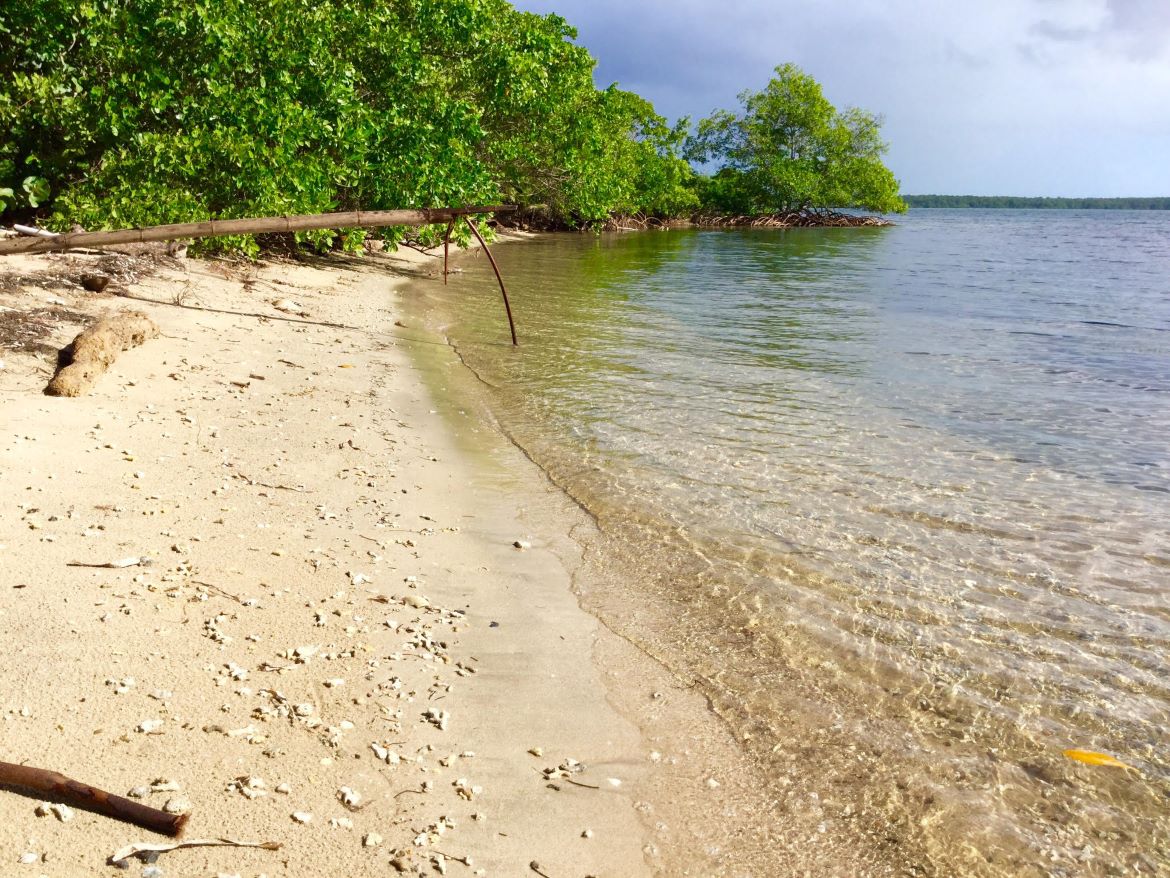 Seafront and Lagoon front acreage Hopkins – Belize Tropicool Realty